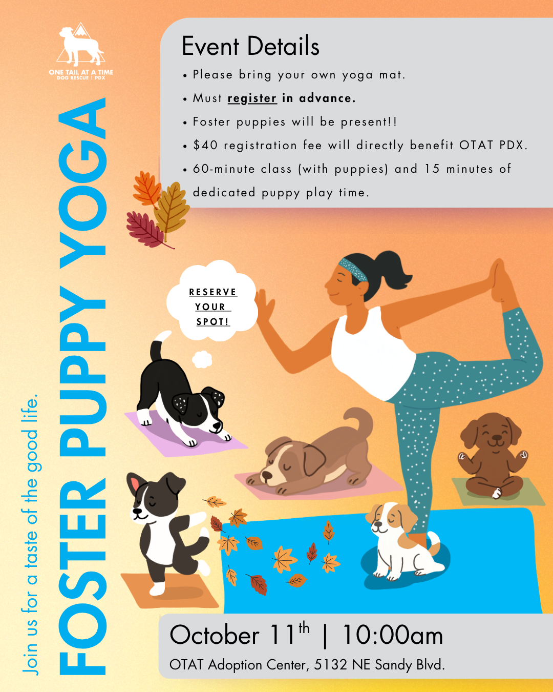 Foster Puppy Yoga: Portland, Oregon — One Tail At A Time PDX