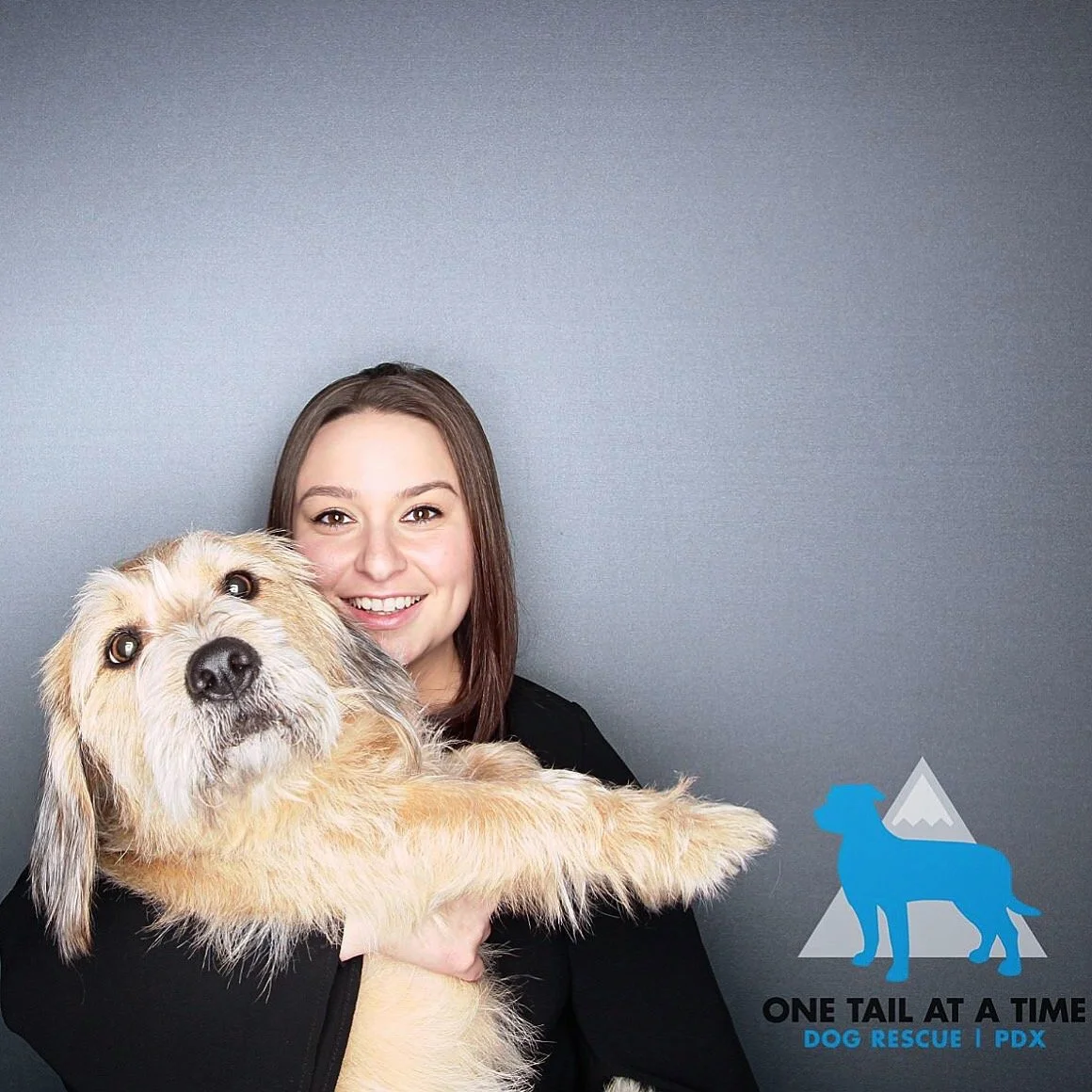 Staff and Executive Board — One Tail At A Time PDX