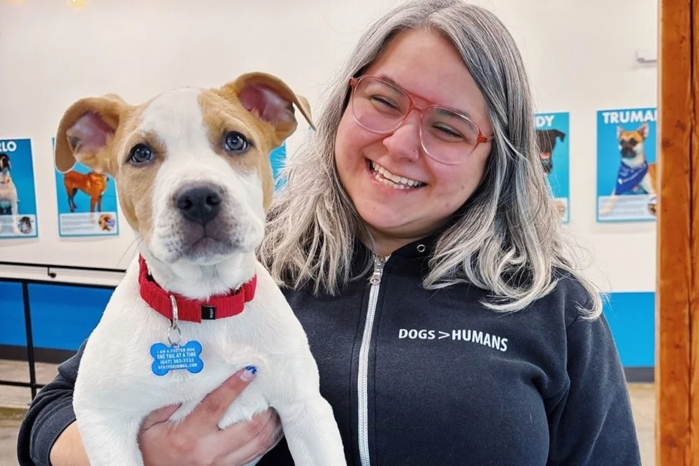 Adoption process — One Tail At A Time PDX