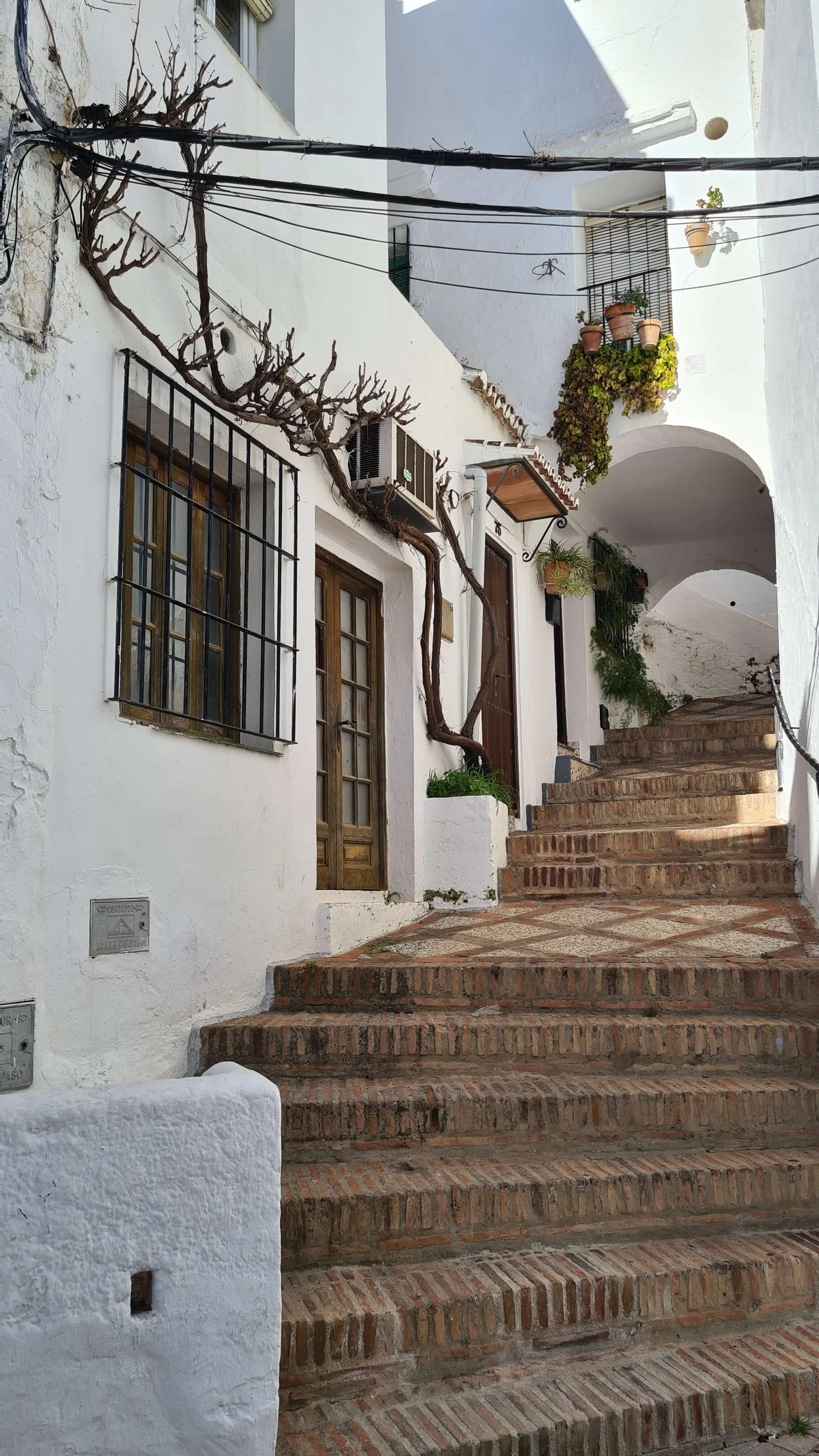 Malaga Provence Motorhome Guide | Rolling Bothy