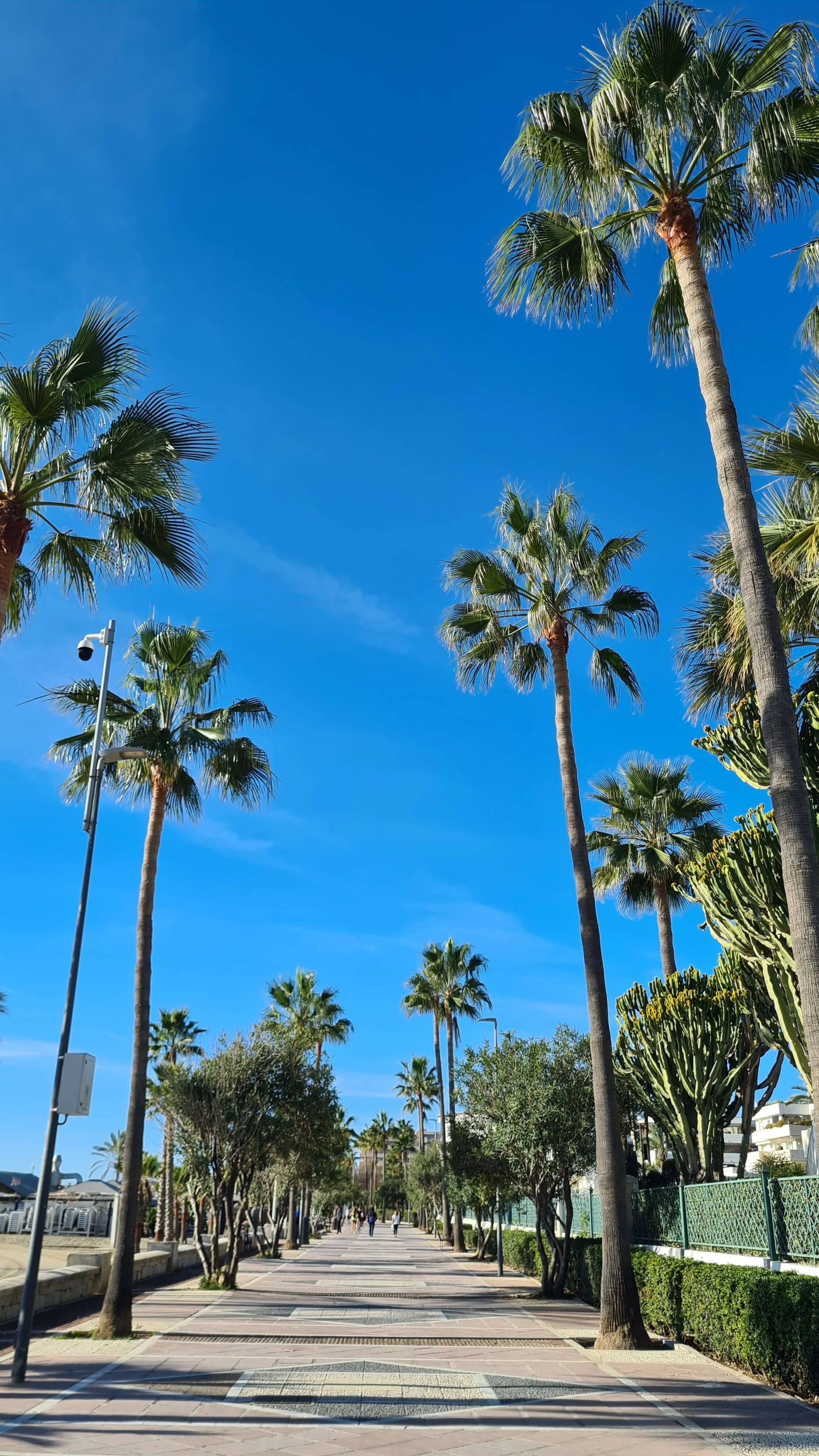 Malaga Provence Motorhome Guide | Rolling Bothy