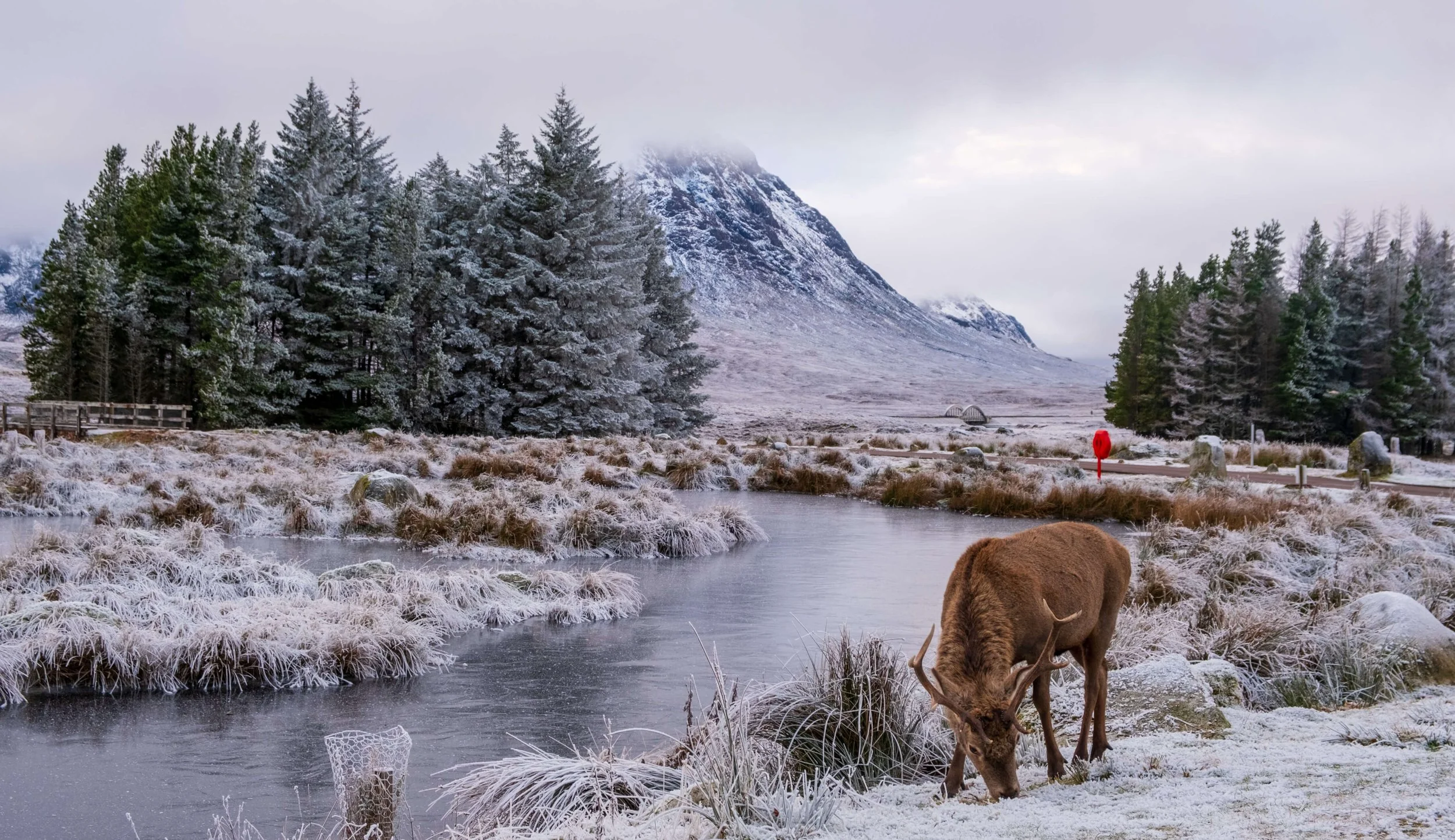 Scotland Winter Motorhome Guide | Rolling Bothy