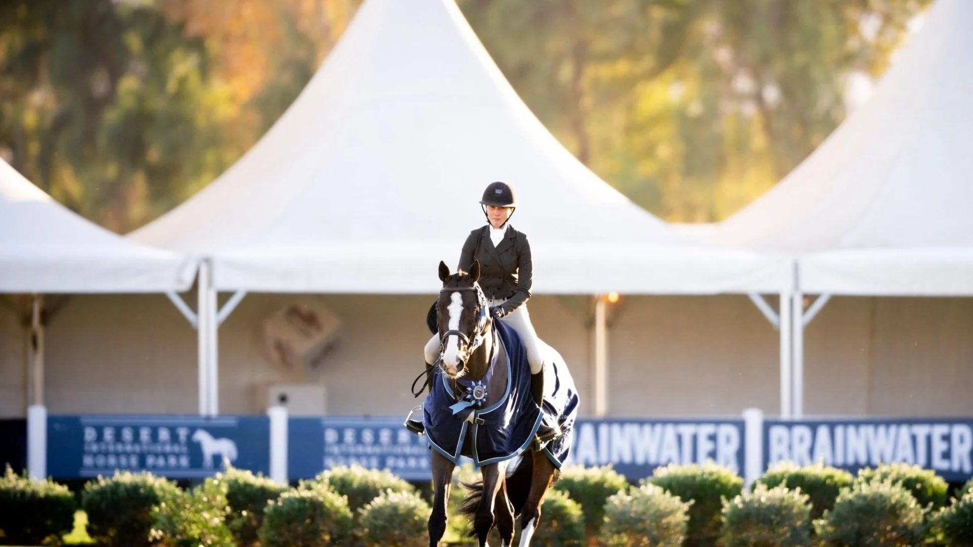 Calendar — Goodwin Horses