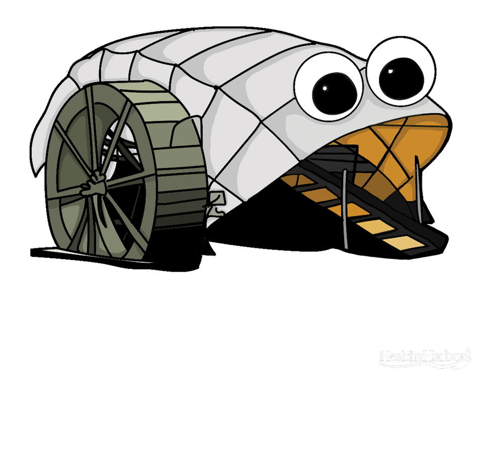 Mr. Trash Wheel | Landmark — Baltimore Blueway