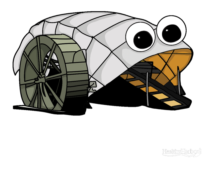 Mr. Trash Wheel | Landmark — Baltimore Blueway