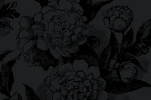 Andra Hem • Cocktail Lounge • Philadelphia