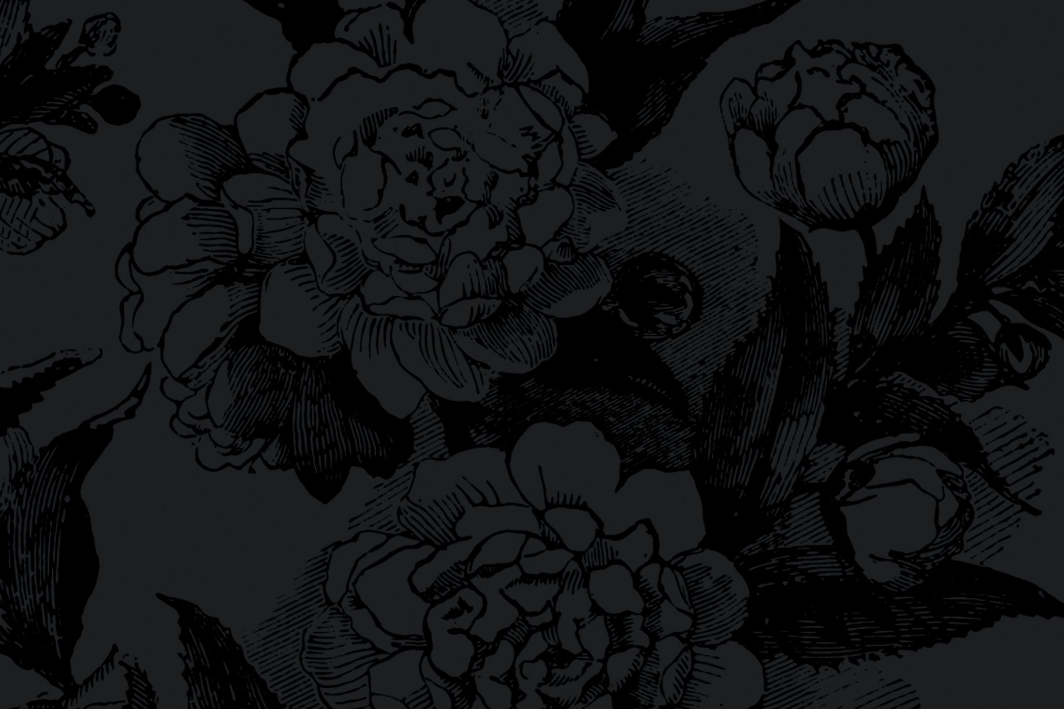 Andra Hem • Cocktail Lounge • Philadelphia