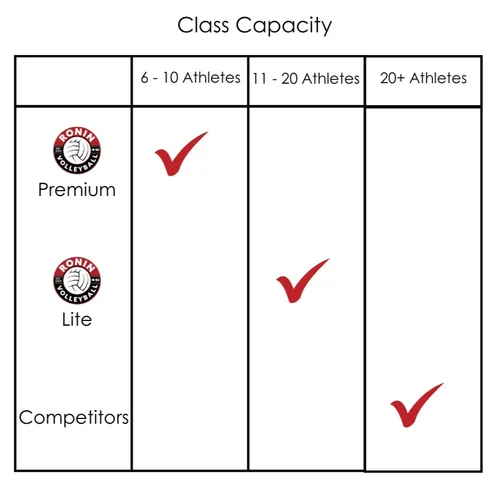 Lite Programs — Ronin Volleyball