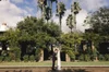 Santa Barbara Courthouse wedding - Colleen & Michael — STEFANIEMPHOTO