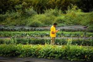 O'o Farm