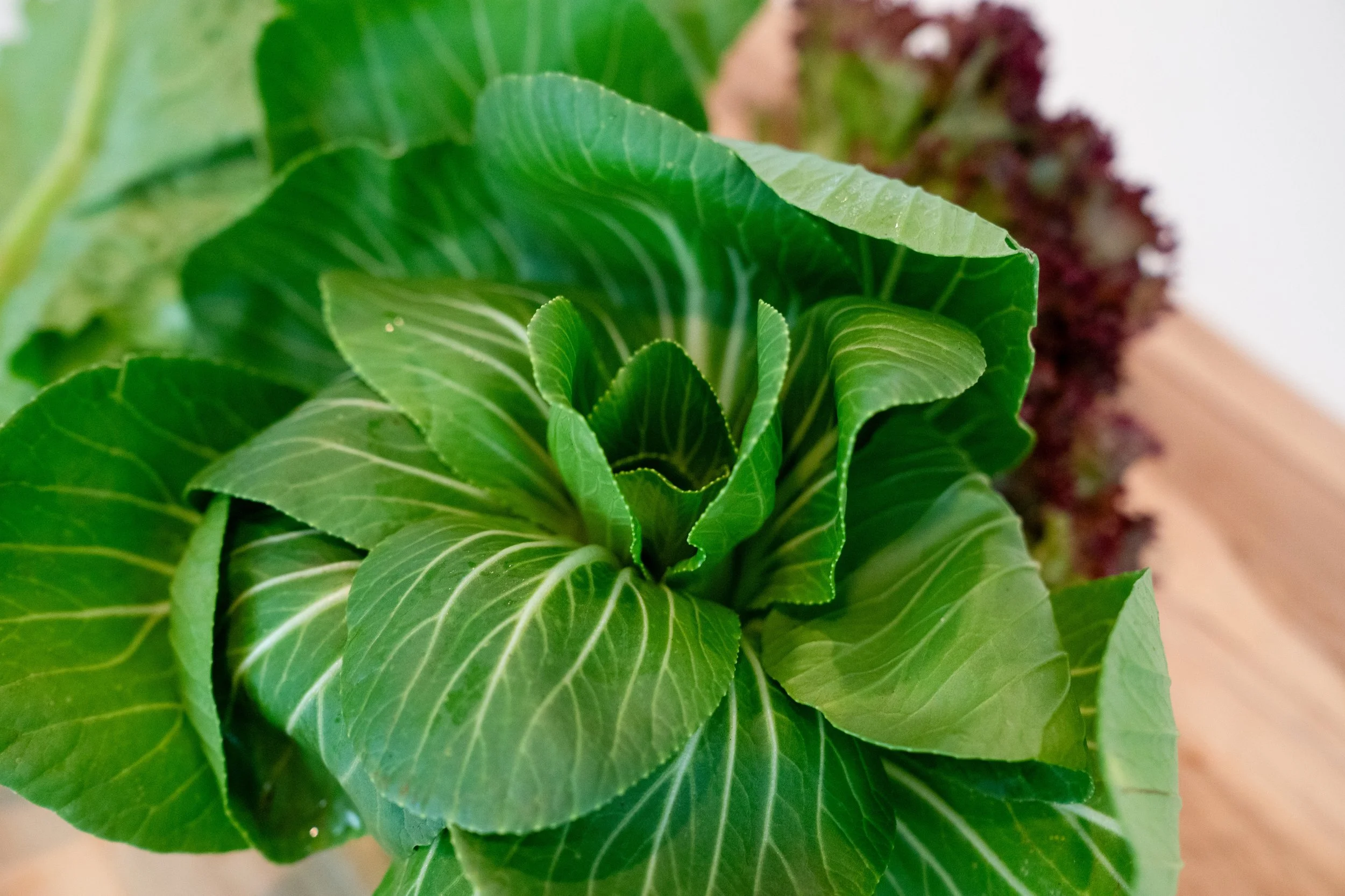 Tours & Experiences — O'o Farm