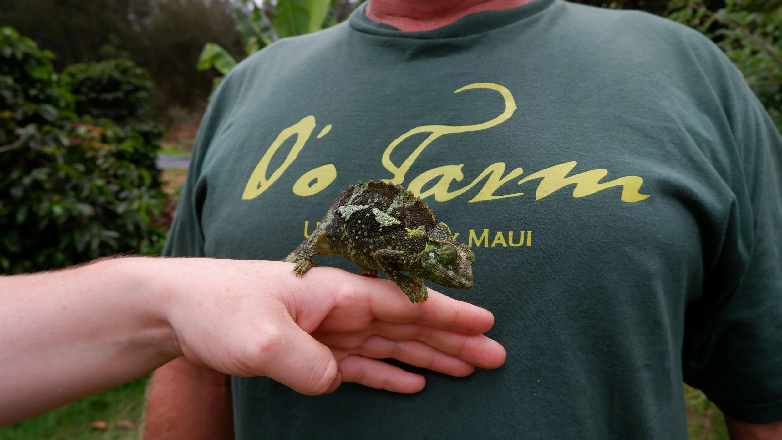 Tours & Experiences — O'o Farm