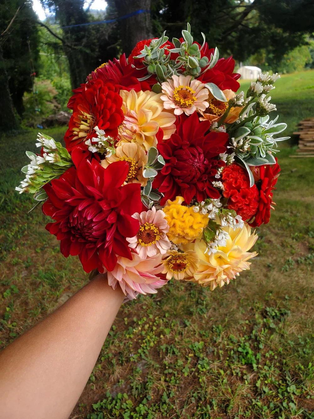 Local cut flowers, you-pick flowers