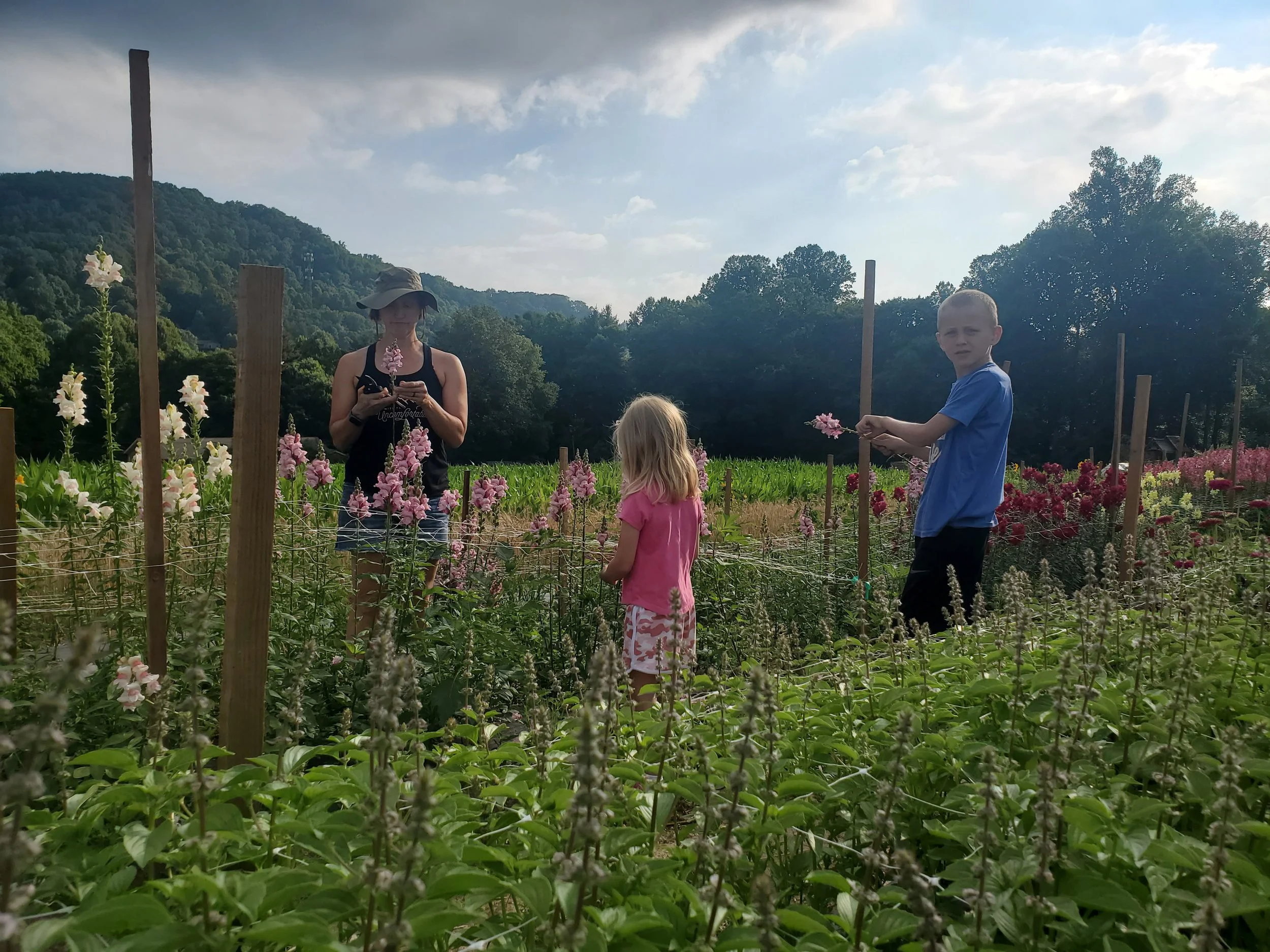 Pinnacle Farms