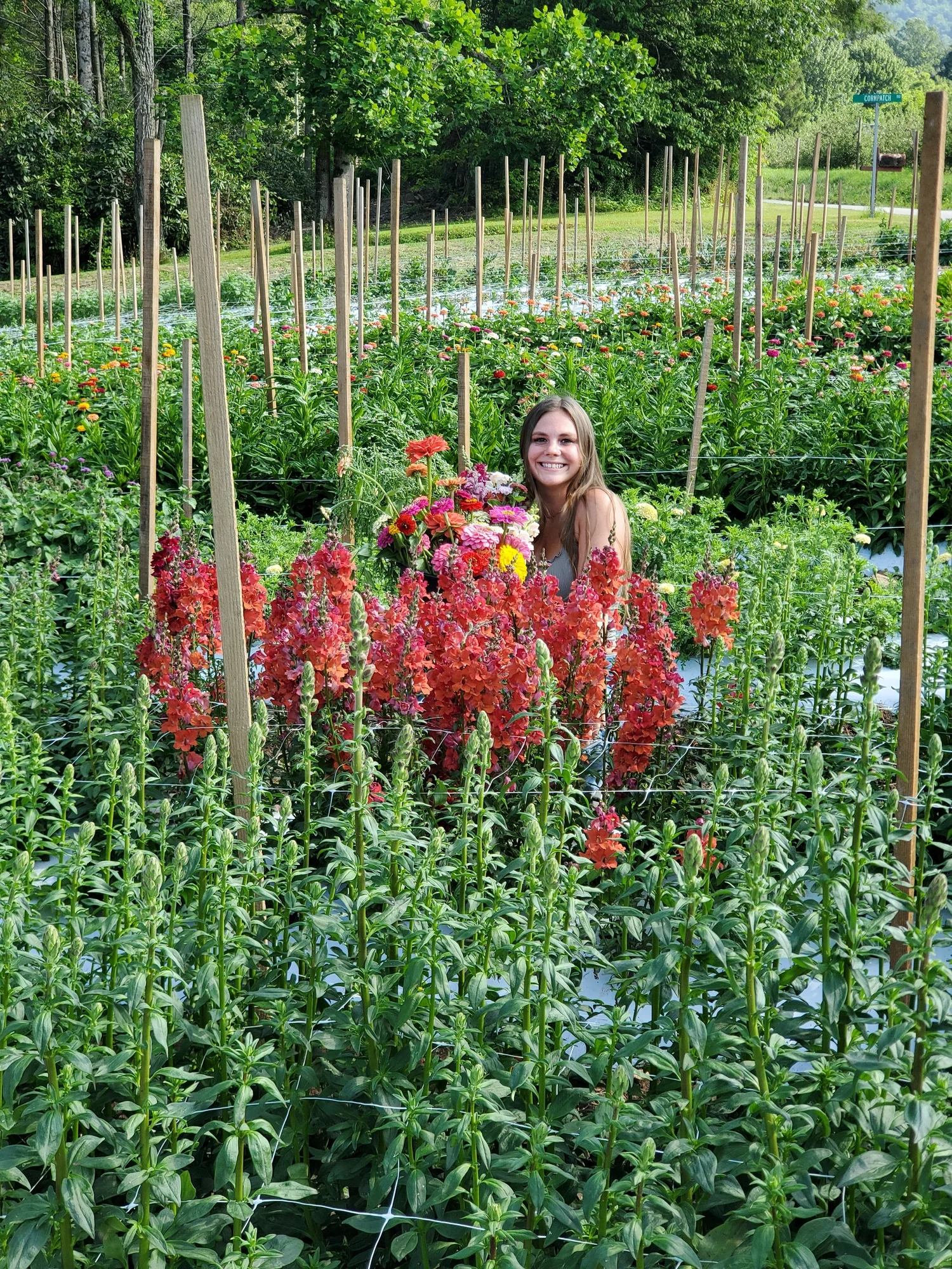 Pinnacle Farms