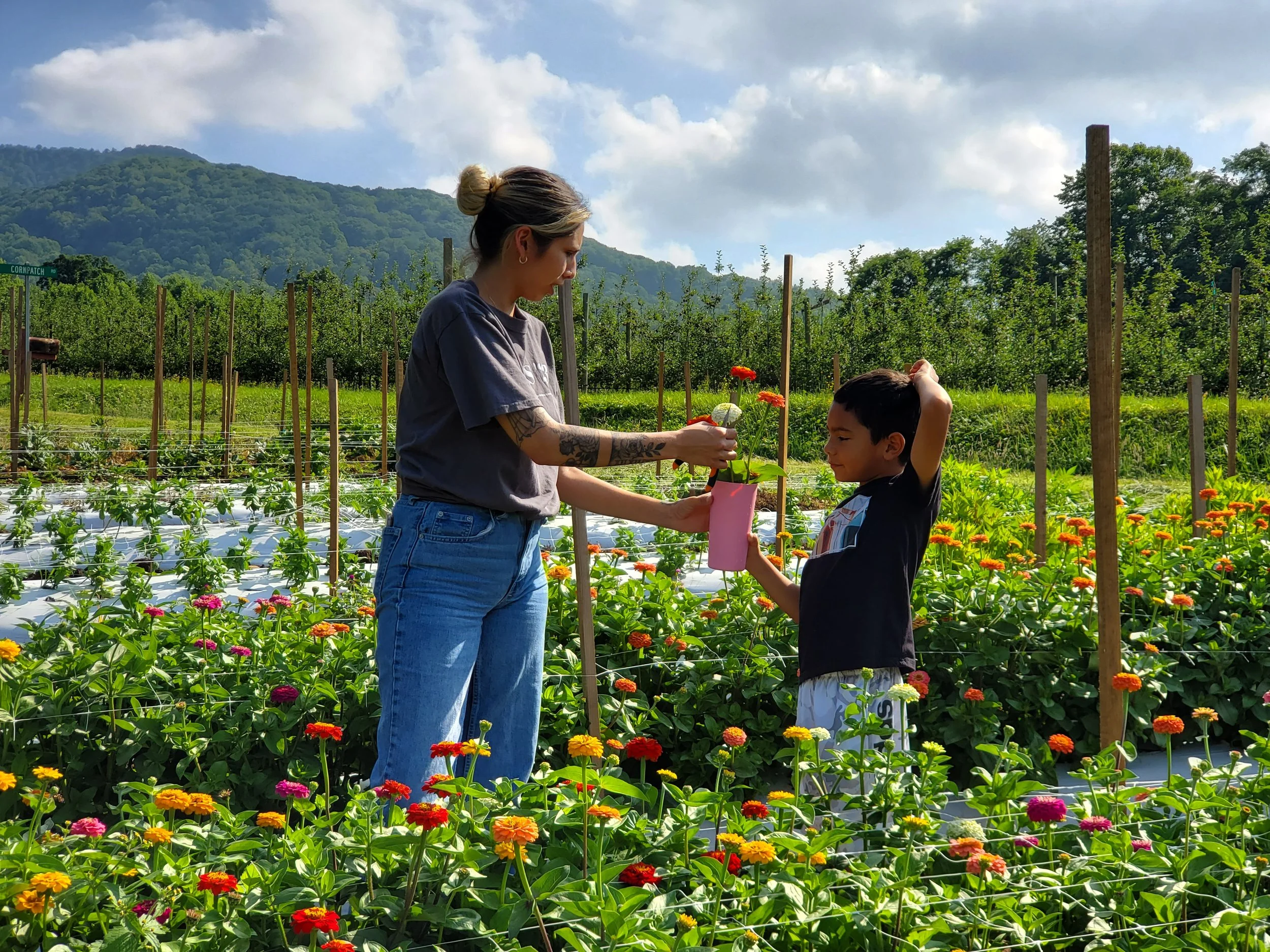 Pinnacle Farms