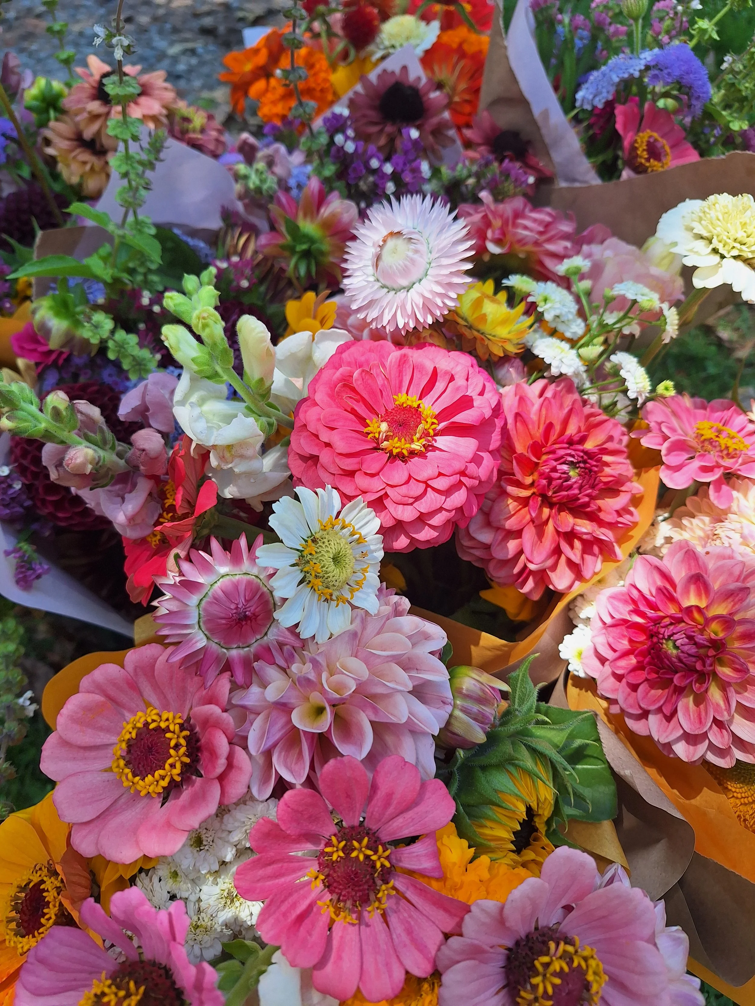 Local cut flowers, you-pick flowers