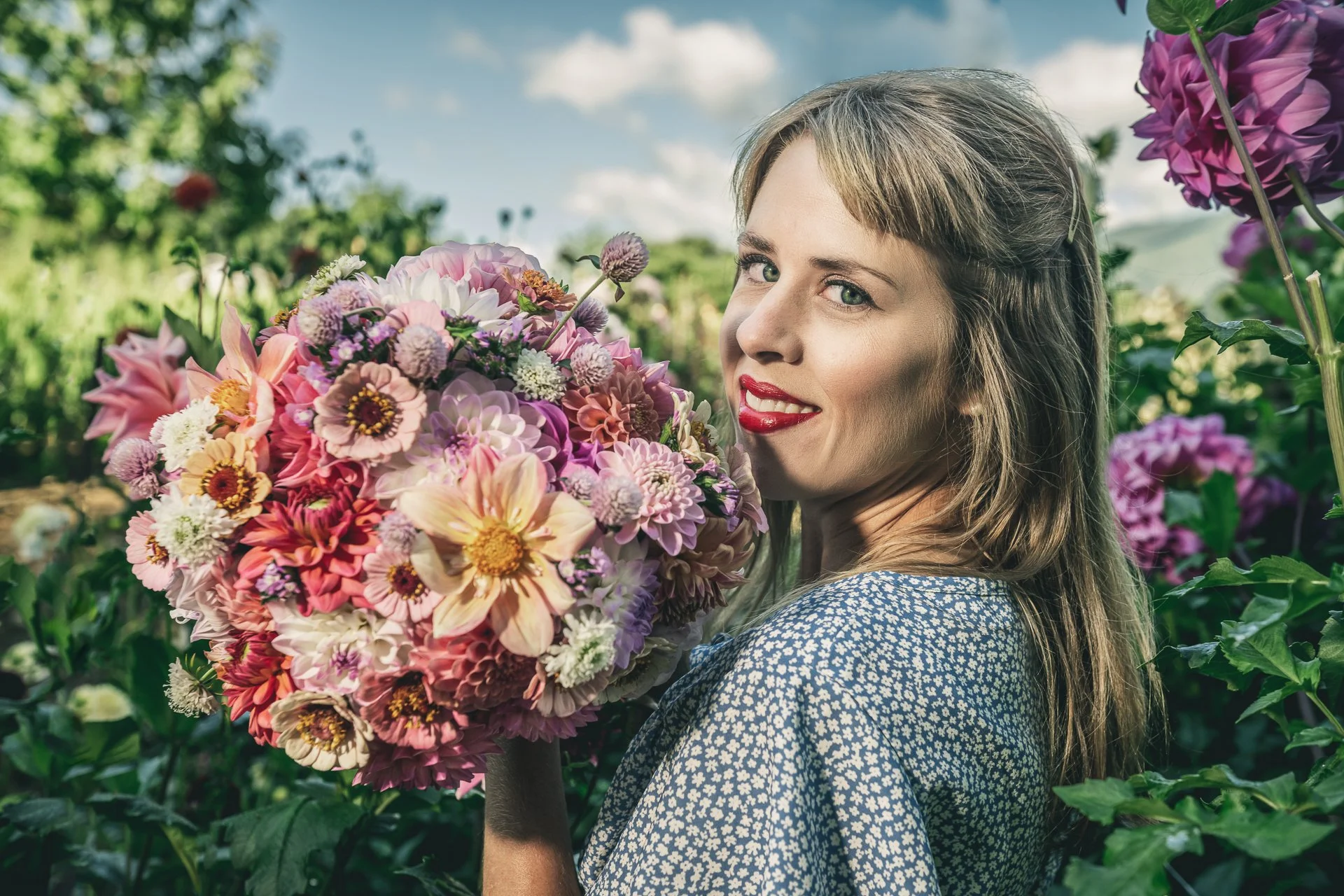 Local cut flowers, you-pick flowers