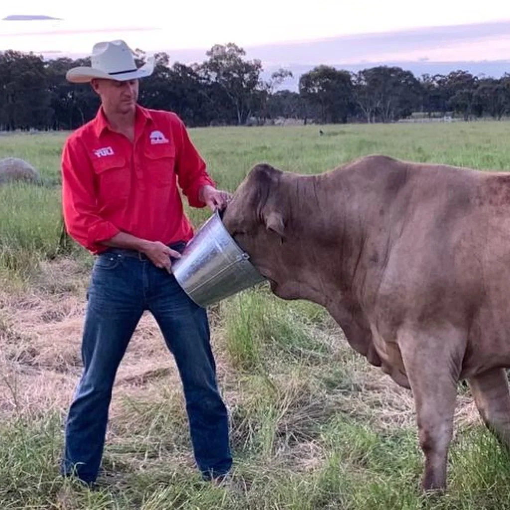 The 3 Month Window Which Turned Jack Milbank's World on its Head and ...