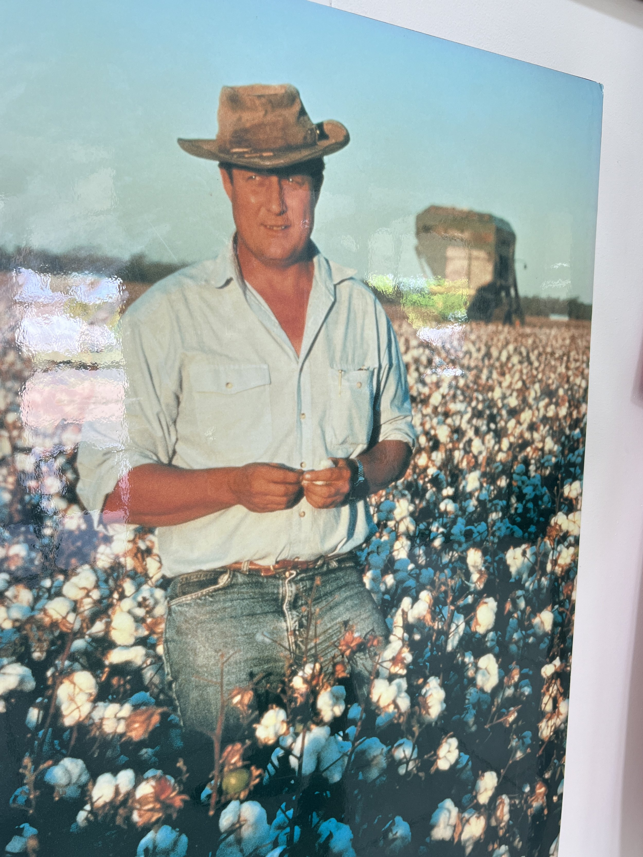 From Cotton Fields to Fashion: A Journey of Adaptation and ...