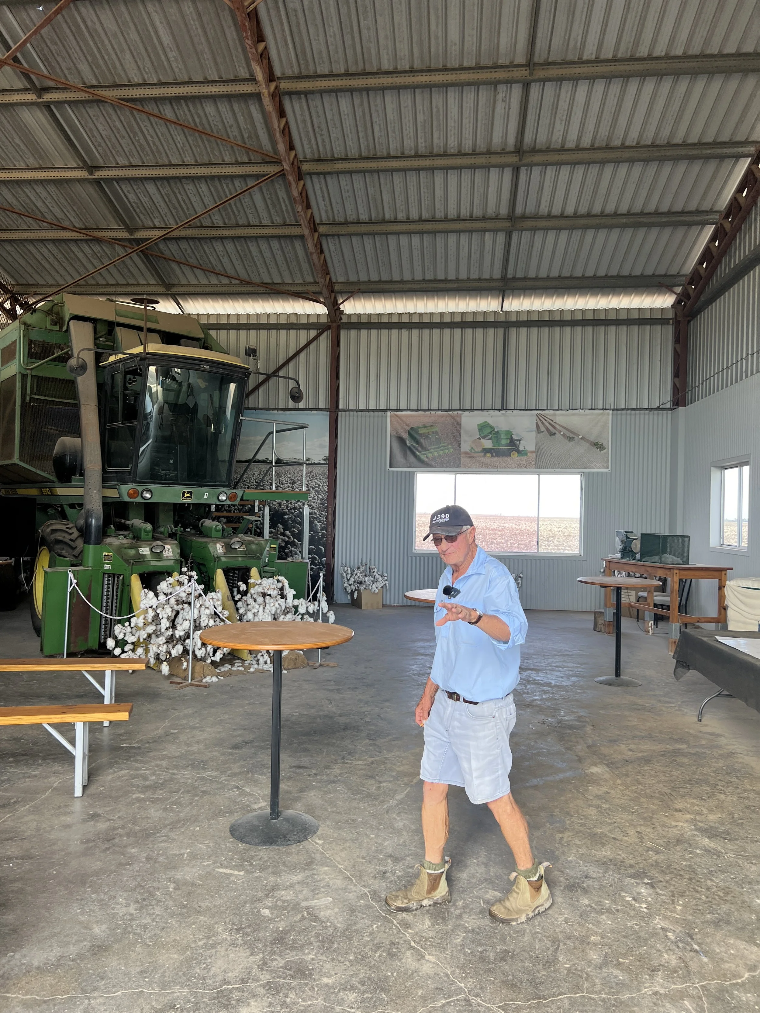 From Cotton Fields to Fashion: A Journey of Adaptation and ...