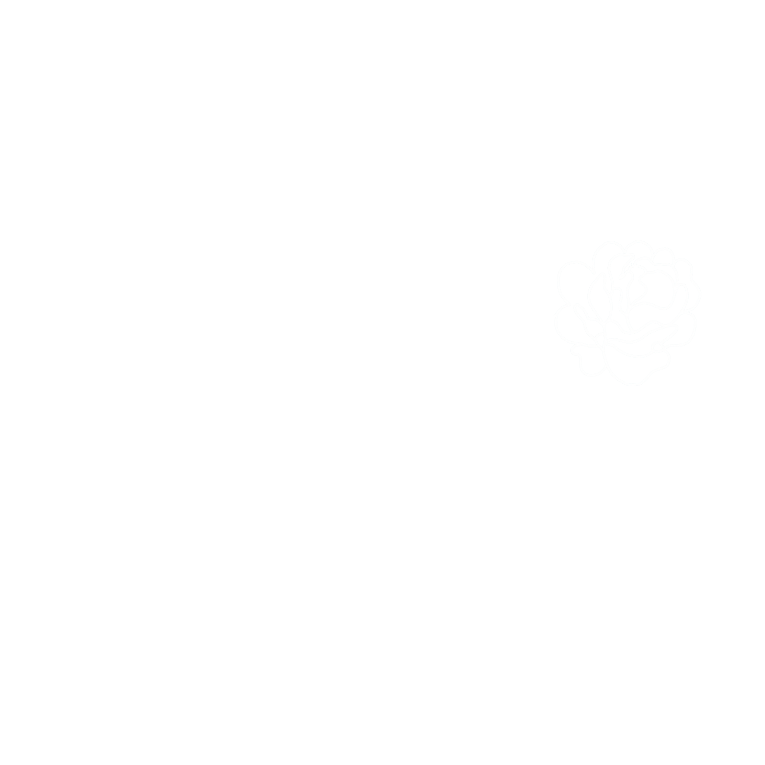 Bloom Integrative Wellness