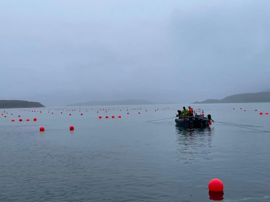 Atlantic Mariculture