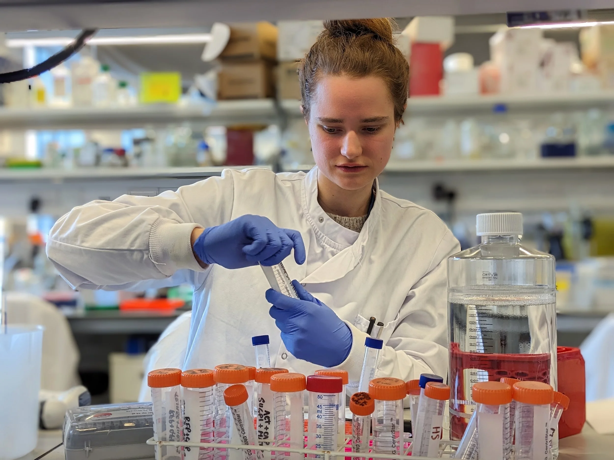 Research — Castello Lab