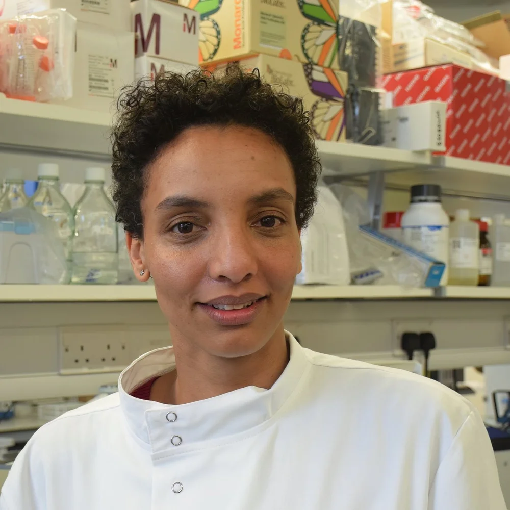 Our Team — Castello Lab