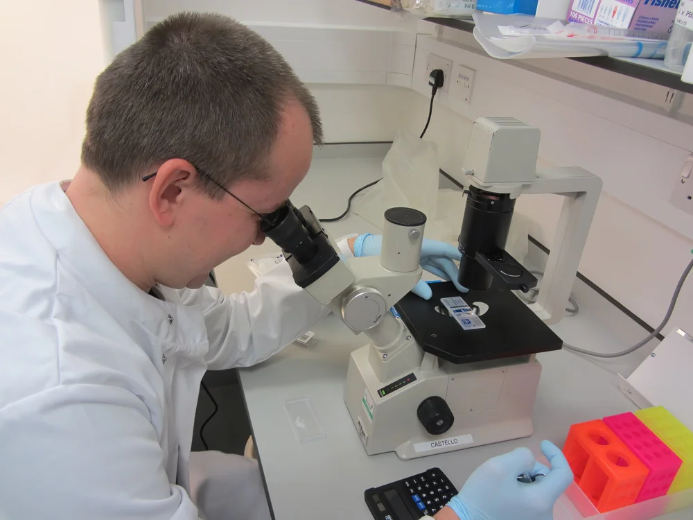 Research — Castello Lab