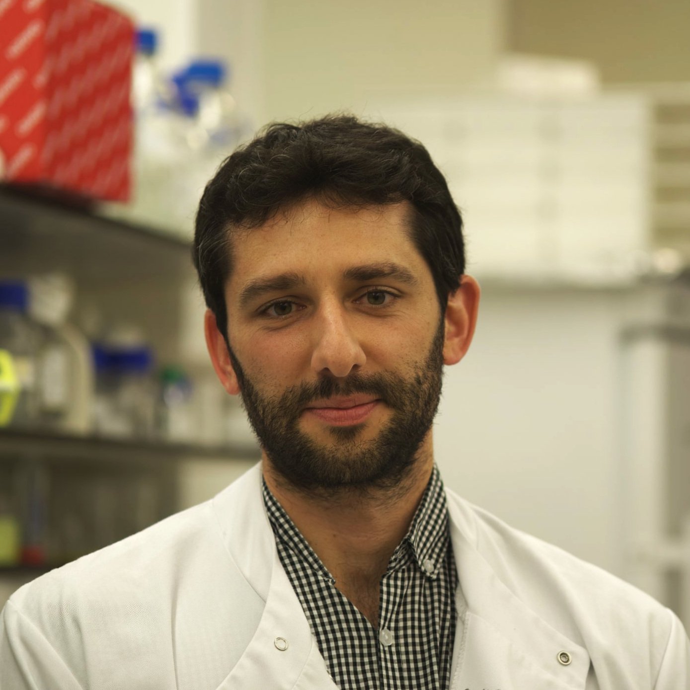 Our Team — Castello Lab