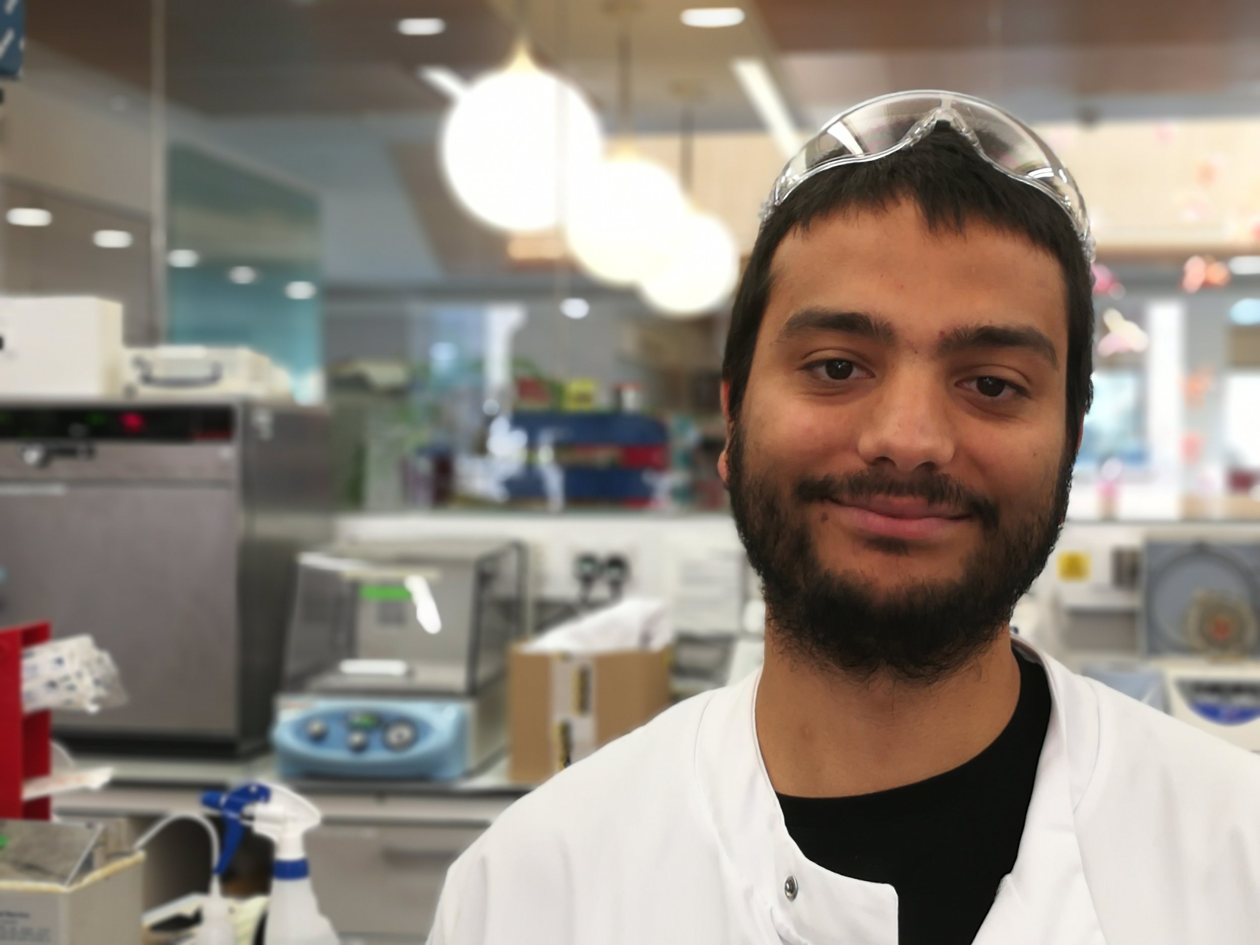 Our Team — Castello Lab