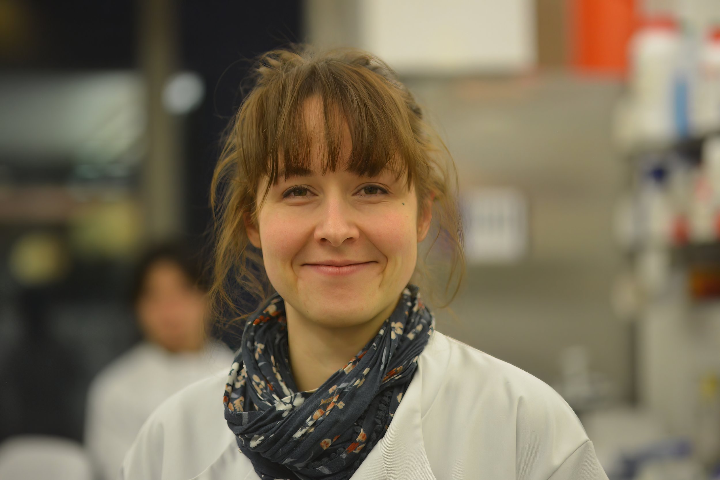 Our Team — Castello Lab