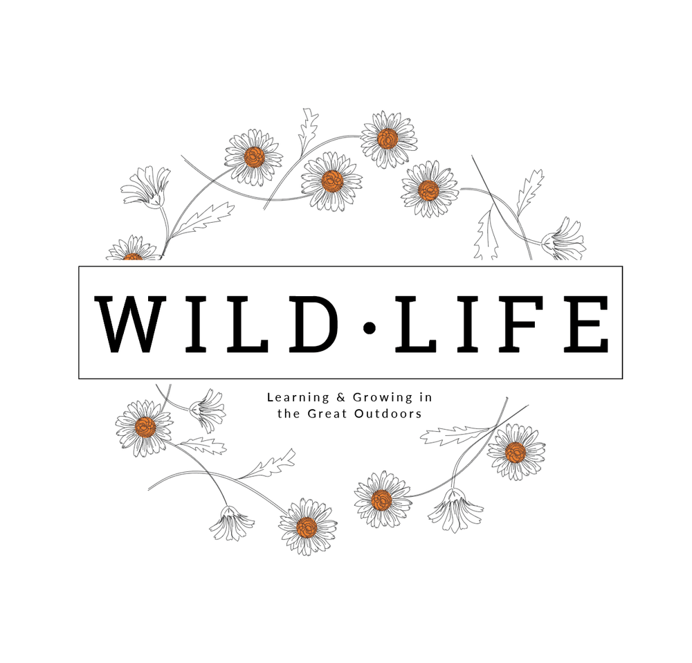Wild • Life