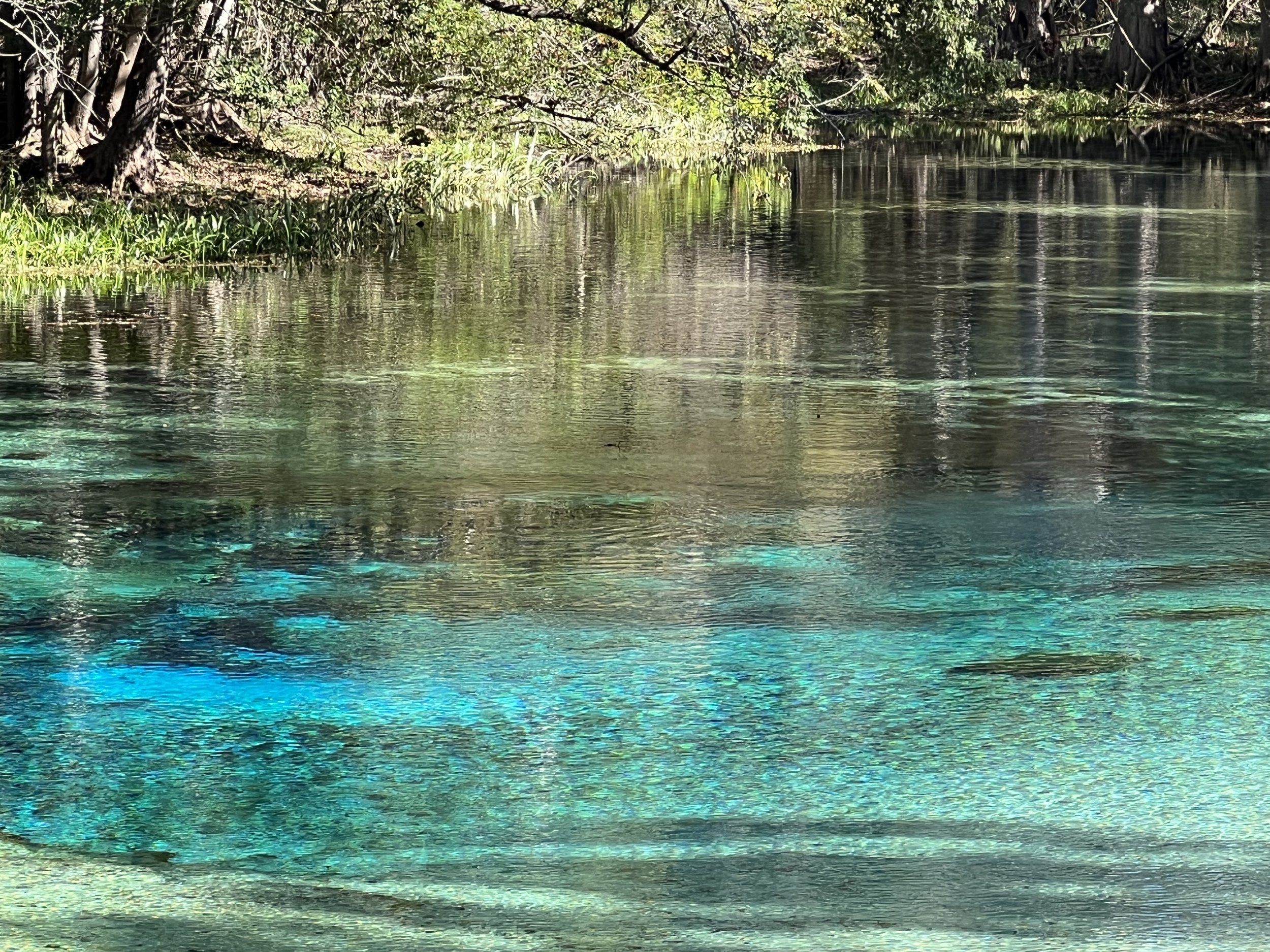 Gilchrist Blue Springs State Park — Anderson's Outdoor Adventures