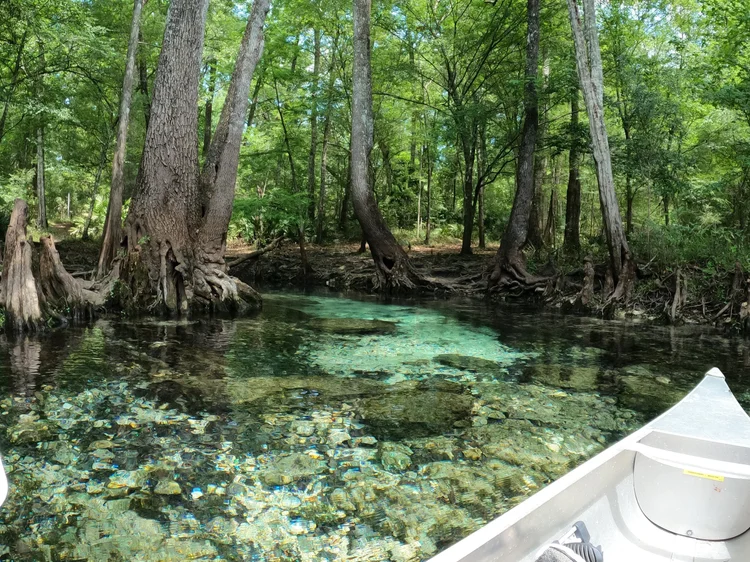 8 Springs in 8 Miles — Anderson's Outdoor Adventures