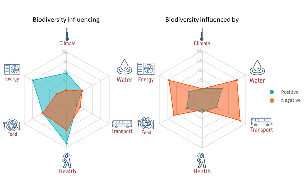 Blog | How is biodiversity influencing and being influenced by climate ...