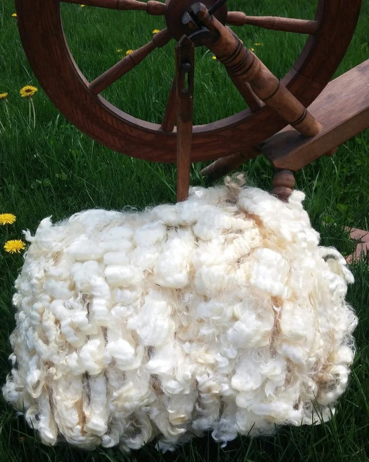Natural Wool Fibers | Leicester Longwool Sheet | Raw Fleece, Roving ...
