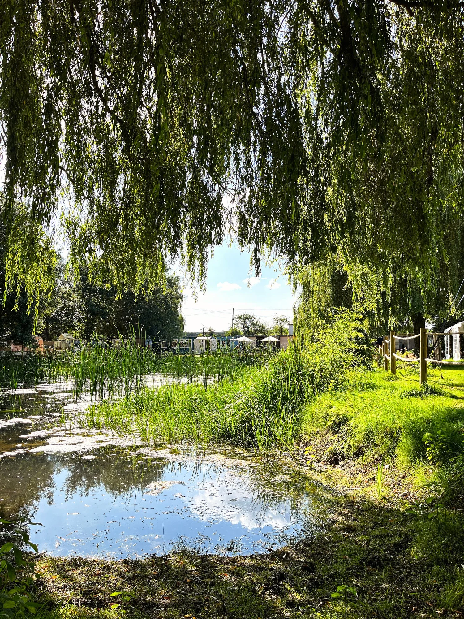 Ickleton Riverside barns