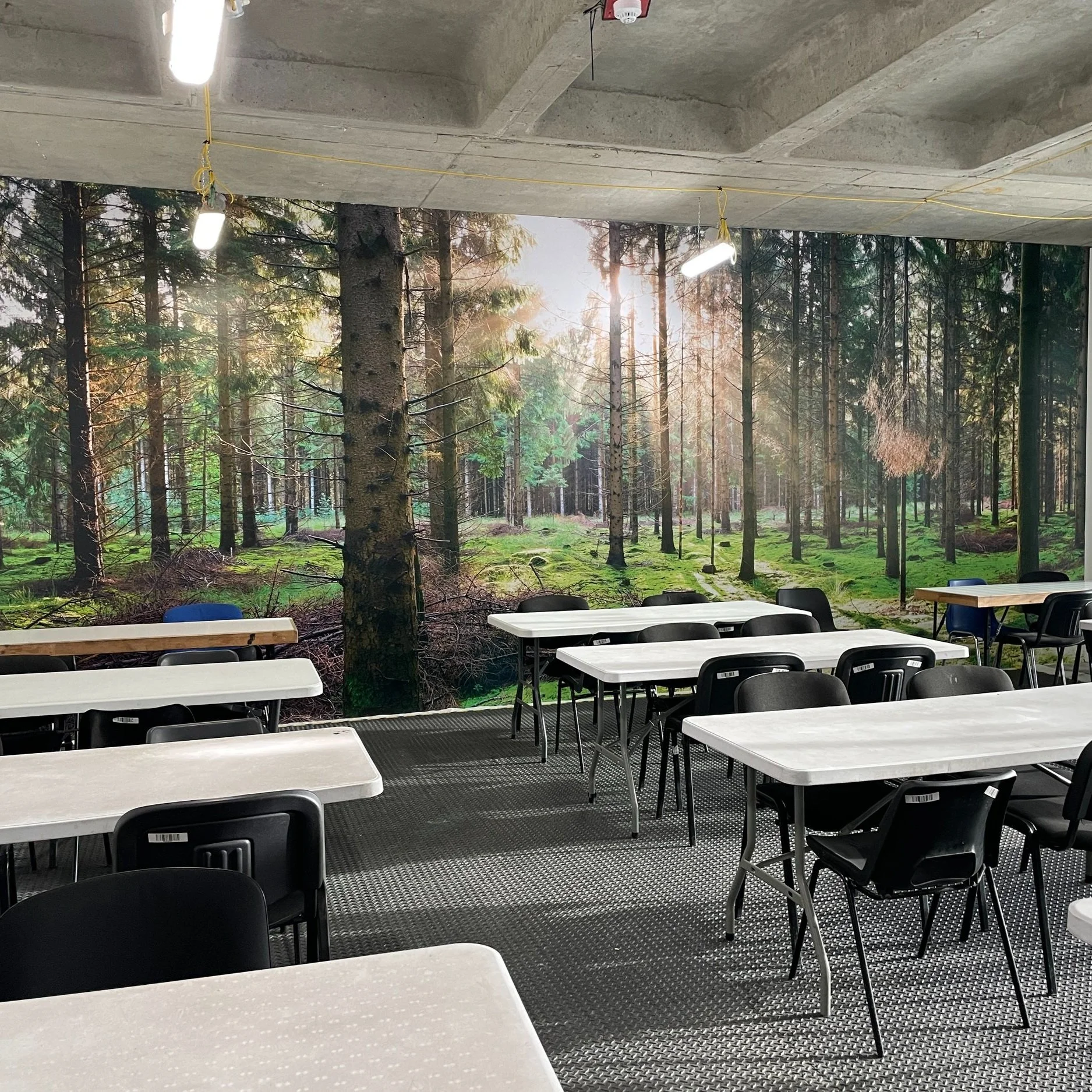 Office Graphics, Branding & Glass Manifestation Gallery — MJCP