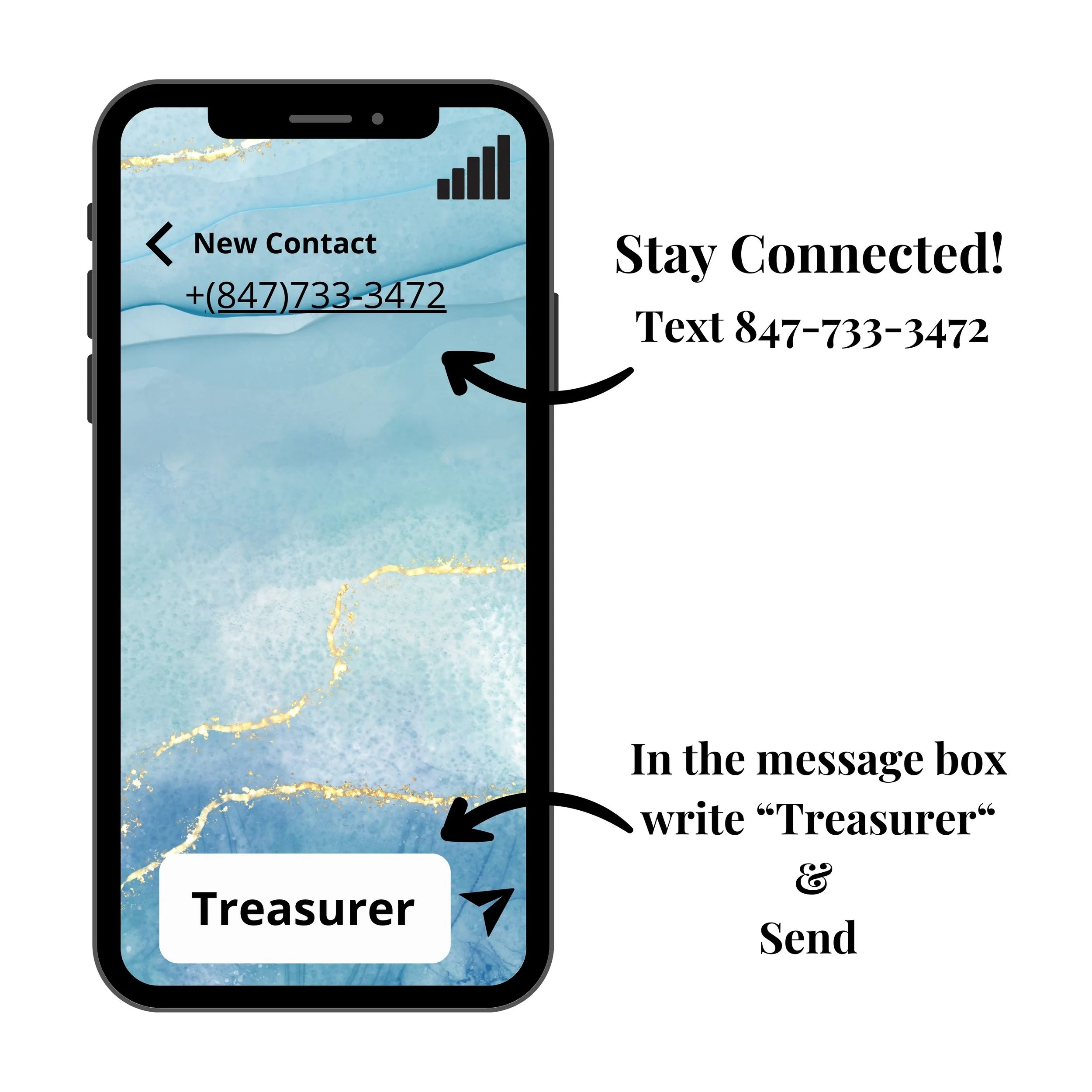 Treasurer’s Basics — Office of the Treasurer