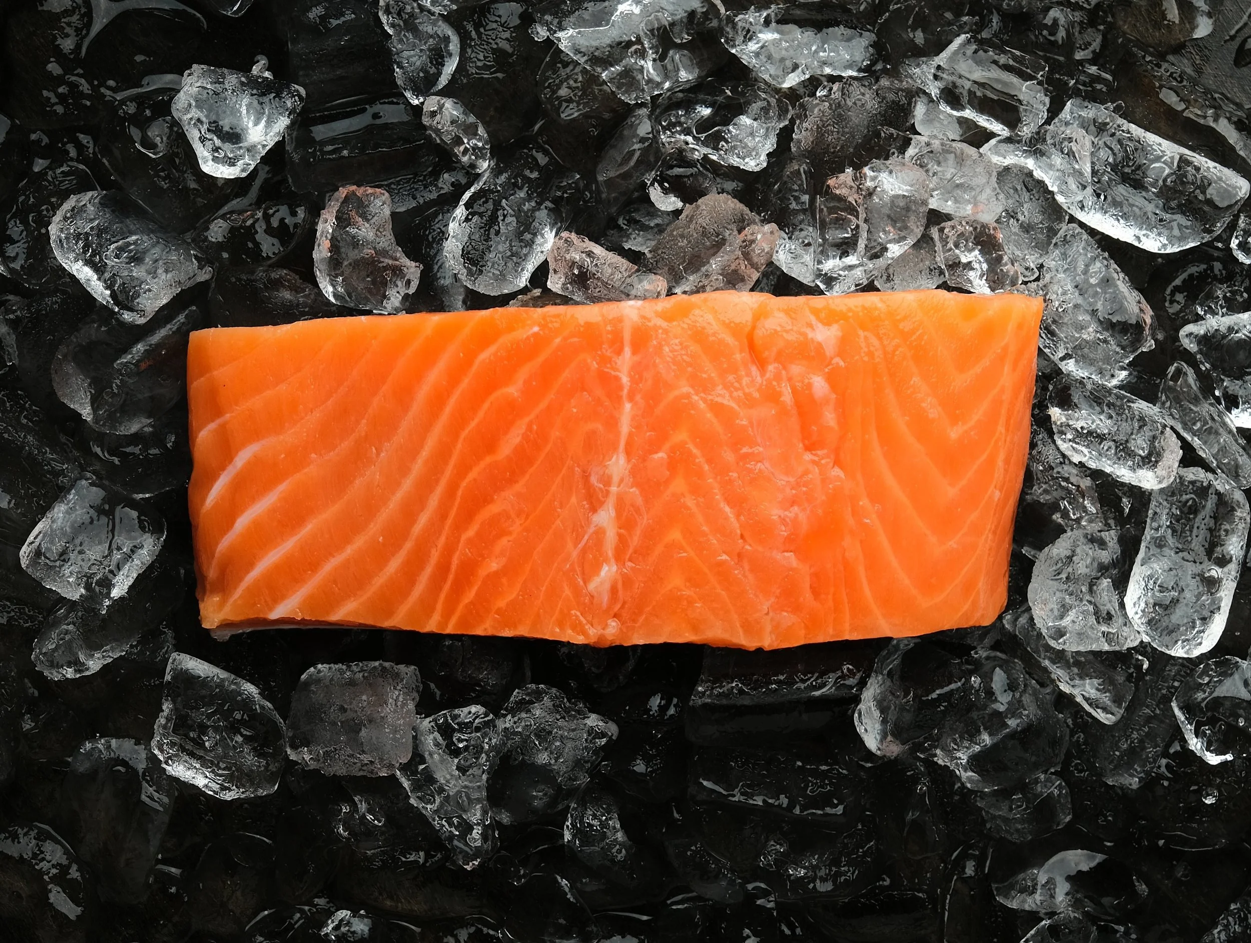 Steelhead — Hofseth North America
