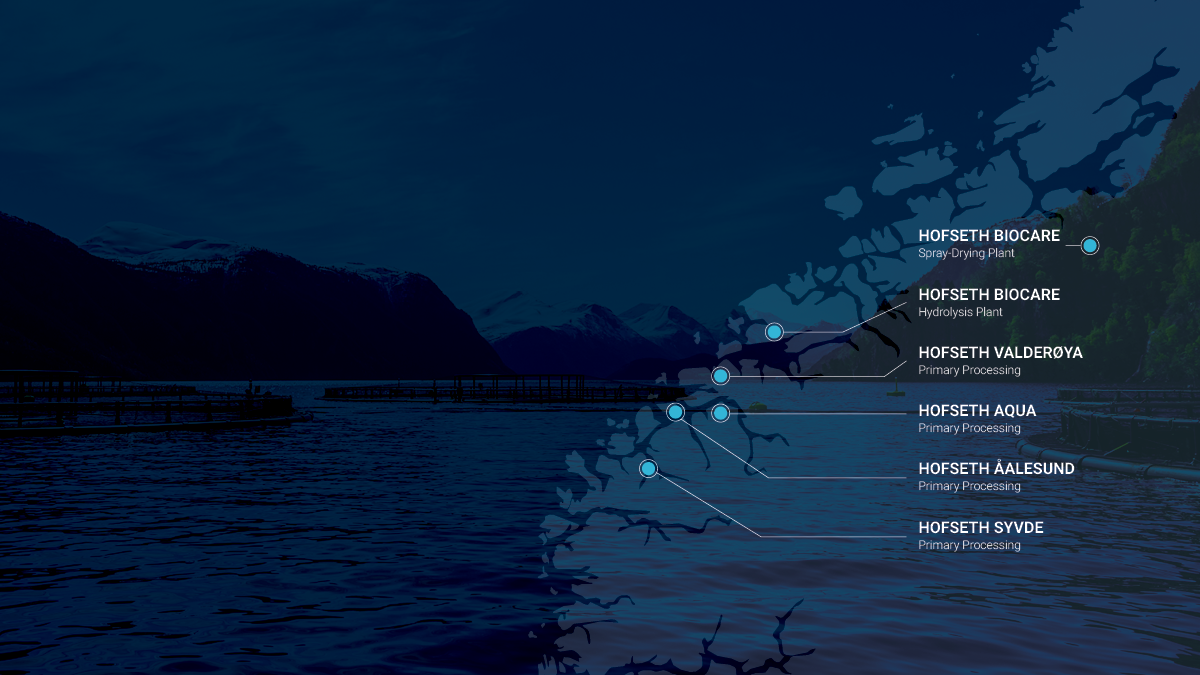 Operations — Hofseth North America