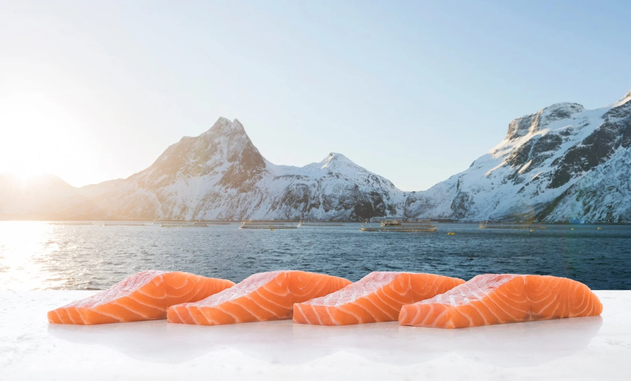 Hofseth North America