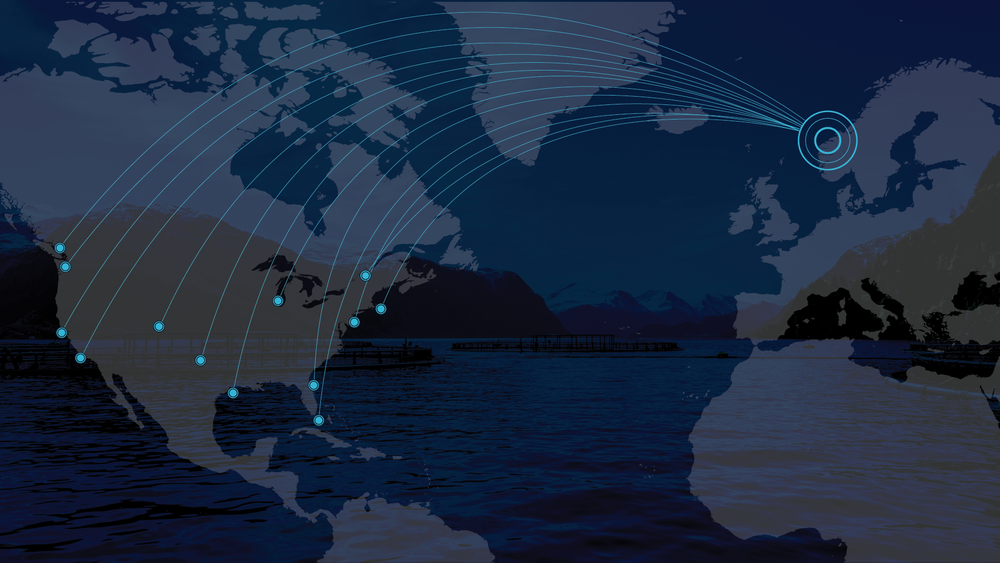 Operations — Hofseth North America