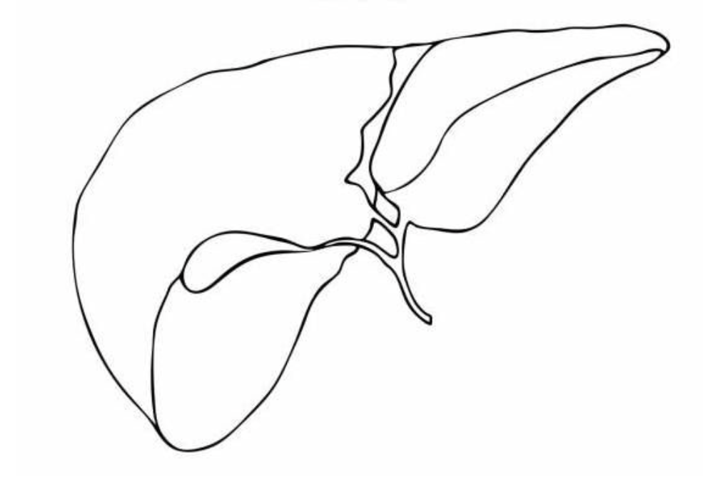 Interface between physical, emotional, and mental symptoms ...