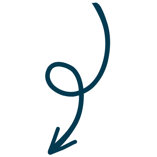 Clever Canines | Dog Training & Dog Daycare in Calgary