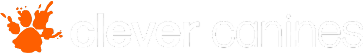 Clever Canines | Dog Training & Dog Daycare in Calgary