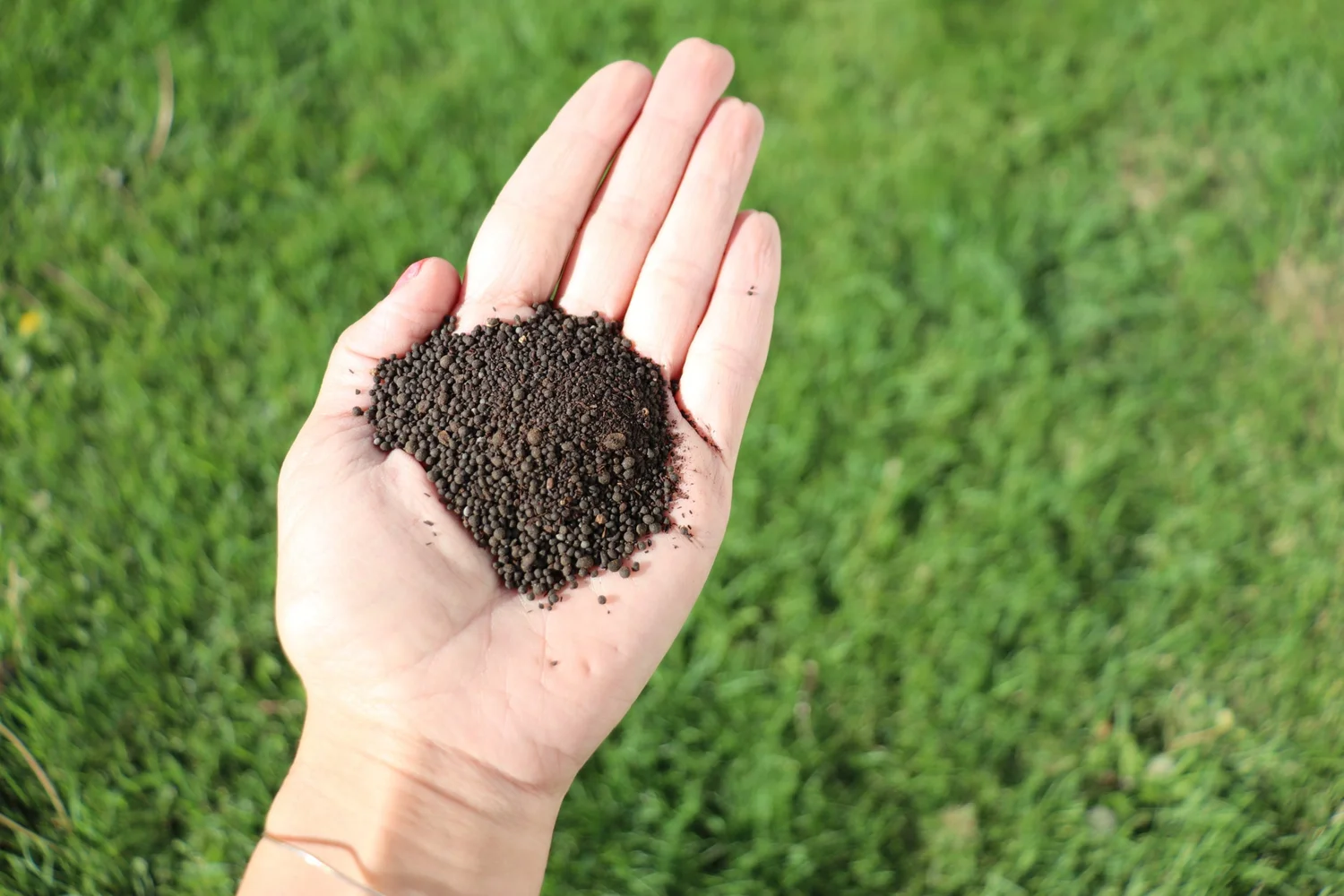 Sustainable microbial fertilizer for turf — Earth Medicine