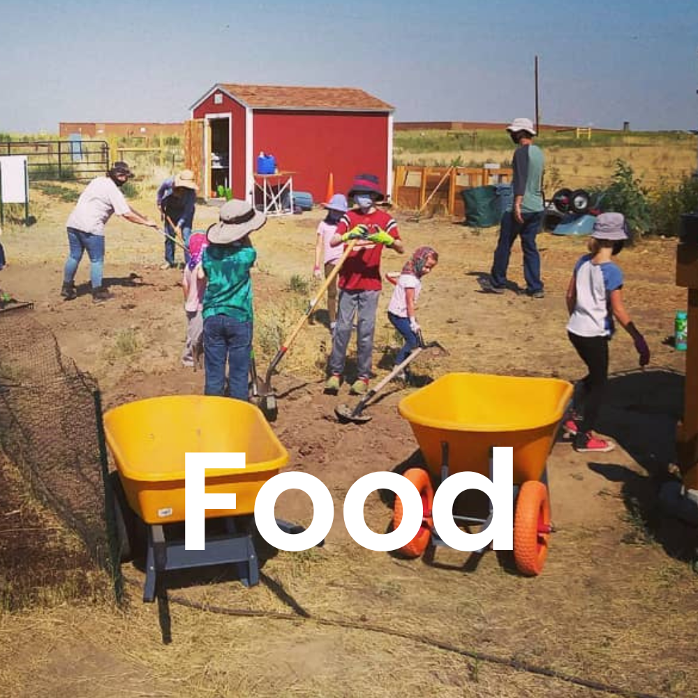 Discover The Land - Embrace Holy Living Through Faith, Food, and ...
